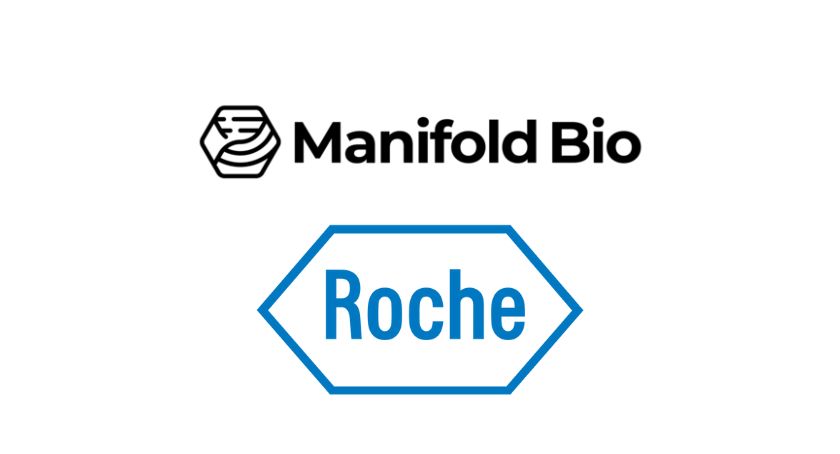 Roche Inorganique