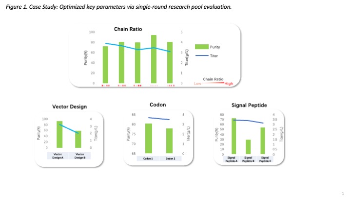 From Challenge to Breakthrough: Driving Speed and Quality in BsAb ...