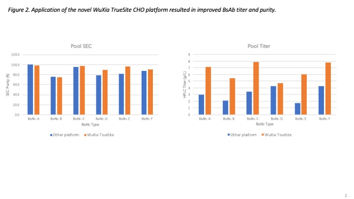 From Challenge to Breakthrough: Driving Speed and Quality in BsAb ...