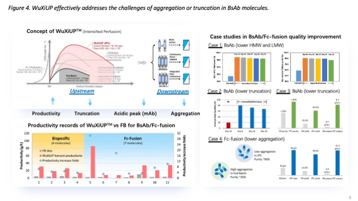 From Challenge to Breakthrough: Driving Speed and Quality in BsAb ...